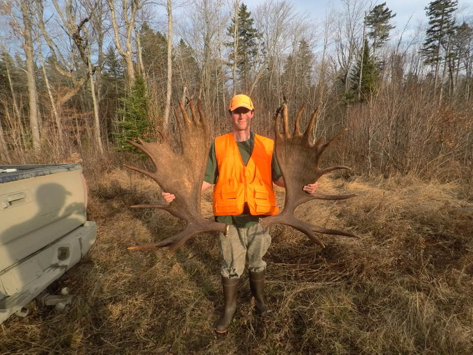 Other Services | Chaga | Maine Moose Antlers